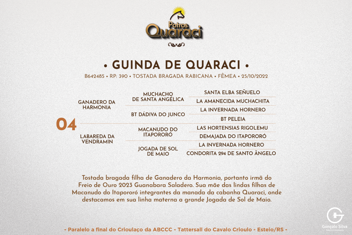 Lote 04 do leilão LEILÃO POTROS QUARACI - Gonçalo Silva